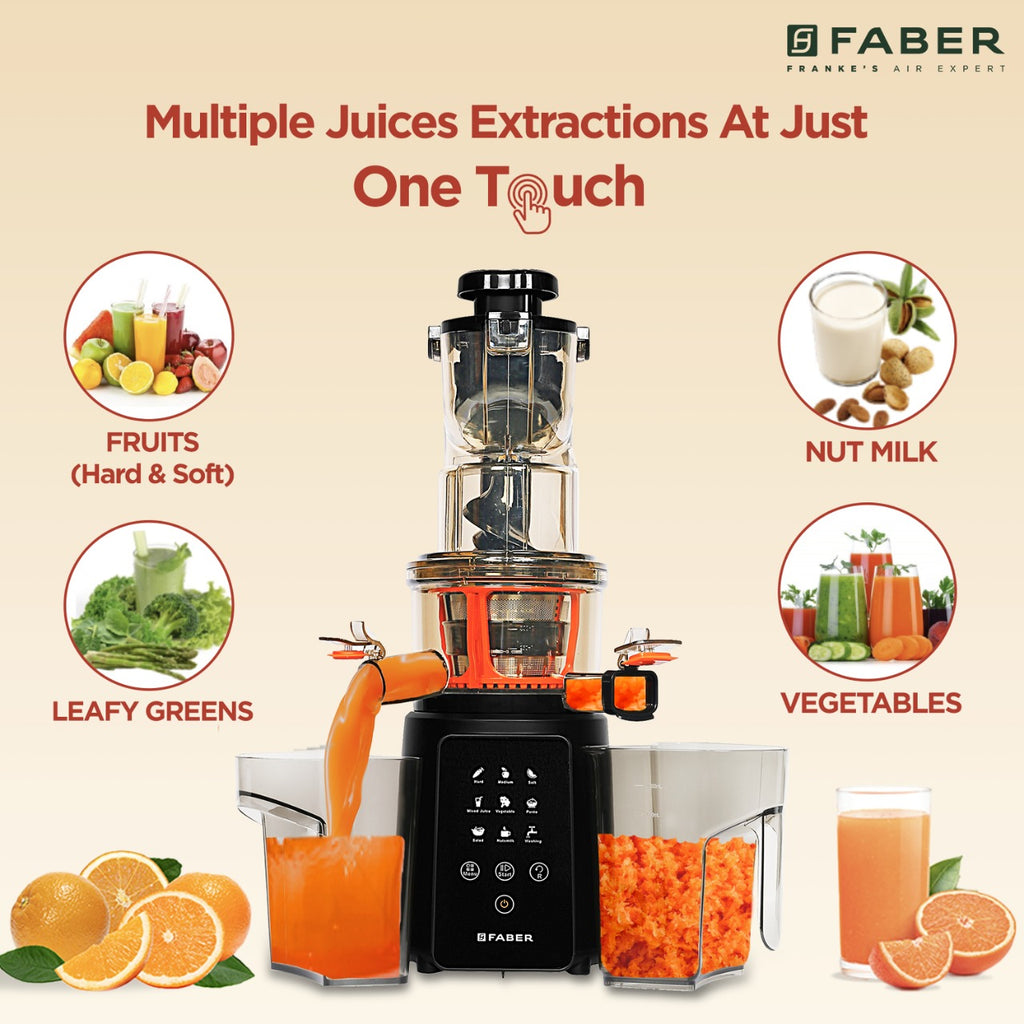 Buy Faber Best FSJ 200 BK-M Slow Juicer, salad maker Online - Buy now ...